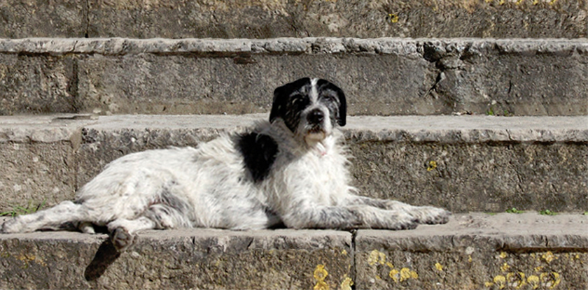 WORKSHOP RESOURCE DOWNLOADS at MIKE SIBLEY FINE ART