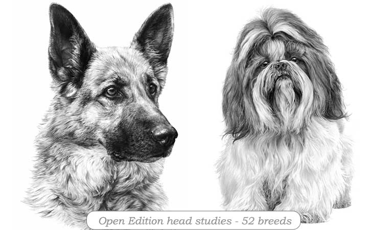 Mike Sibley Pencil Drawings