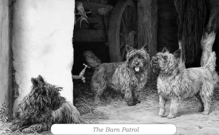 Mike Sibley Pencil Drawings